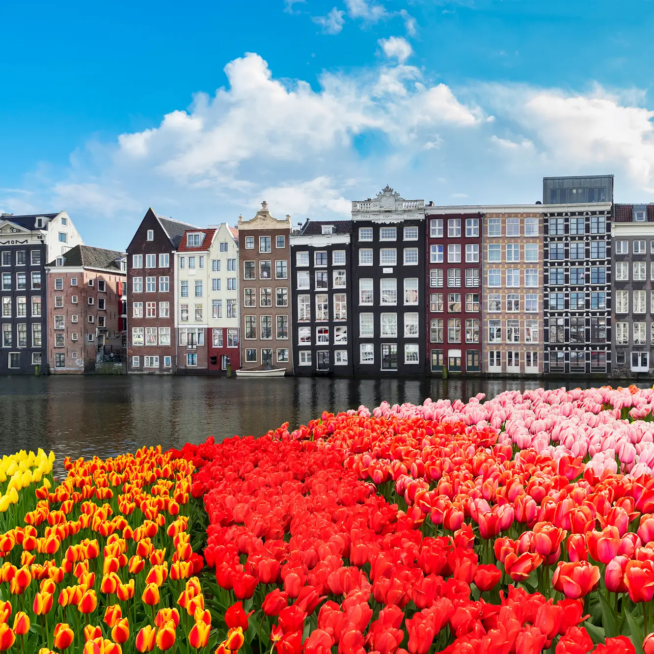Netherlands Work Permit - SagarVisas.com